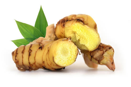 Spice Ginger ( Galangal ) | QCTropicals