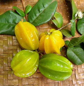 Pitangatuba (Star Cherry) | QCTropicals