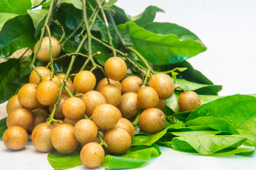 Wampee, Wampi ( Clausena lansium ) | QCTropicals