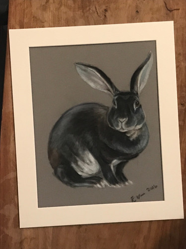 Jessica Wabbit - Original Pastel Painting | Ellen Wilkinson Art
