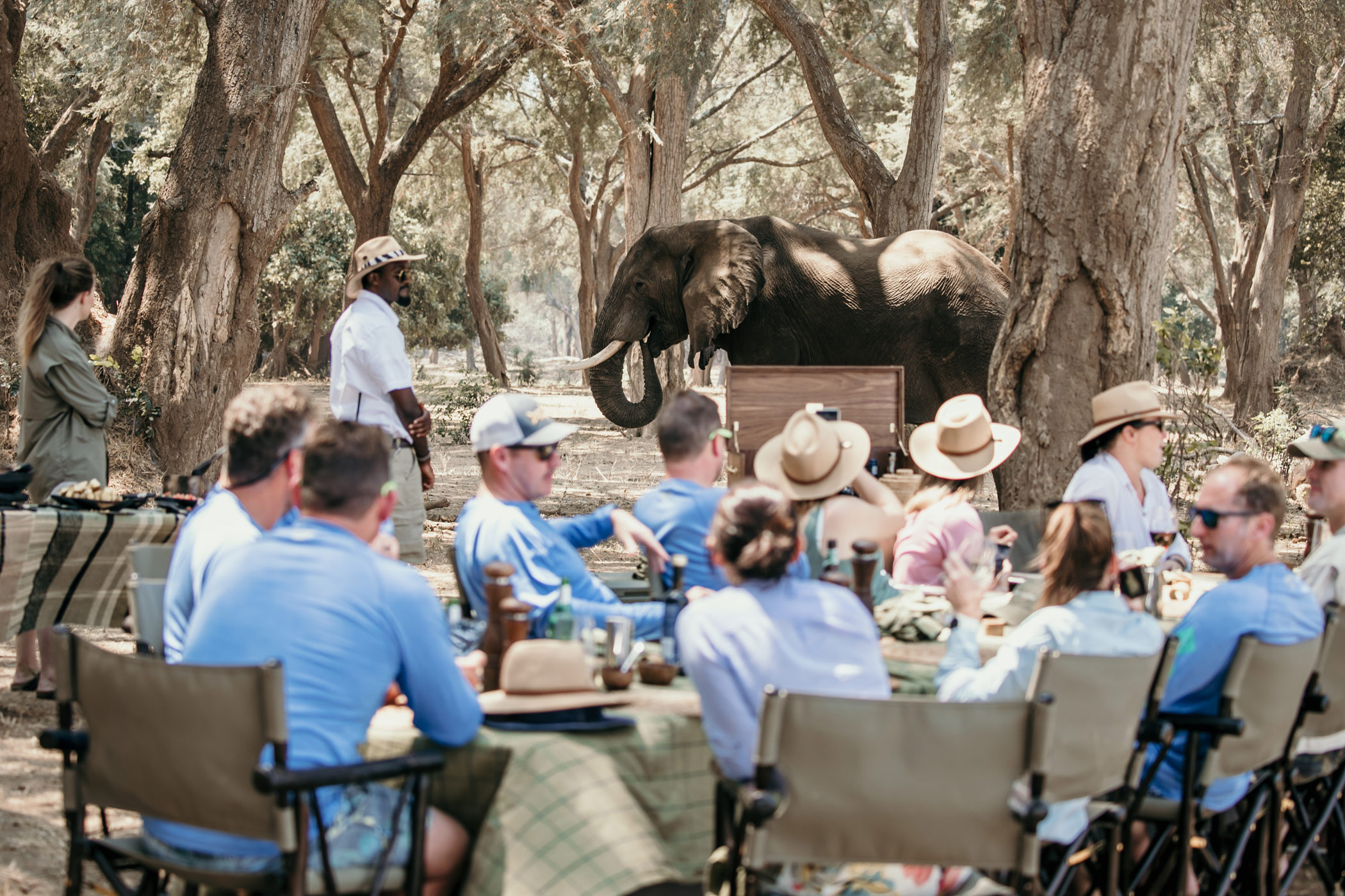 Zambezi Grande Private Game Experience