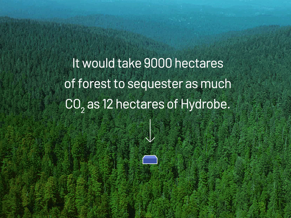 Efficiencies of scale: 12ha of Hydrobe equivalent to 9000ha of forest.