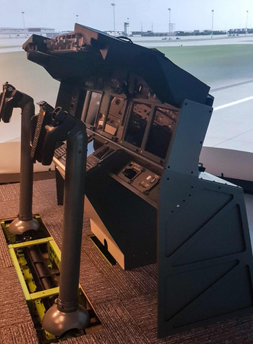 B737 MIP Duo | AGRONN Simulation