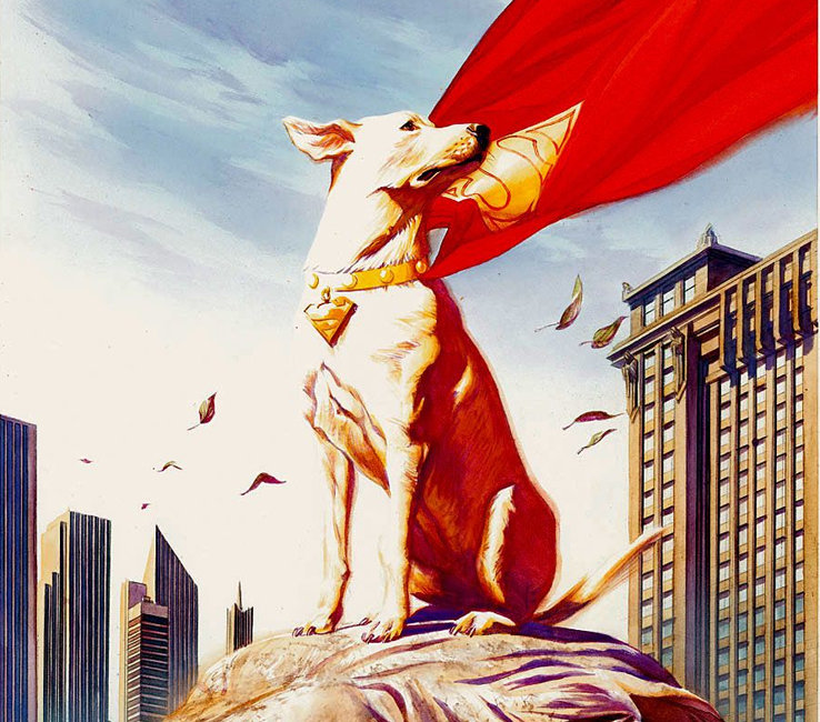 Top 5 Superhero Dogs