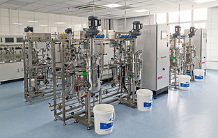 Bioreaction | Plant Oil Extraction | Lab Equipment I Lab1st Scientific