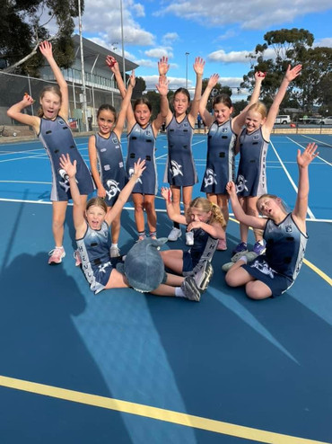 Home | Henley Sharks Football & Netball Club