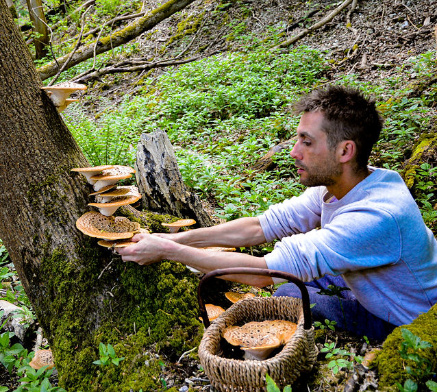 Forage Sussex | Wild Food | Rewilding Us | West Sussex
