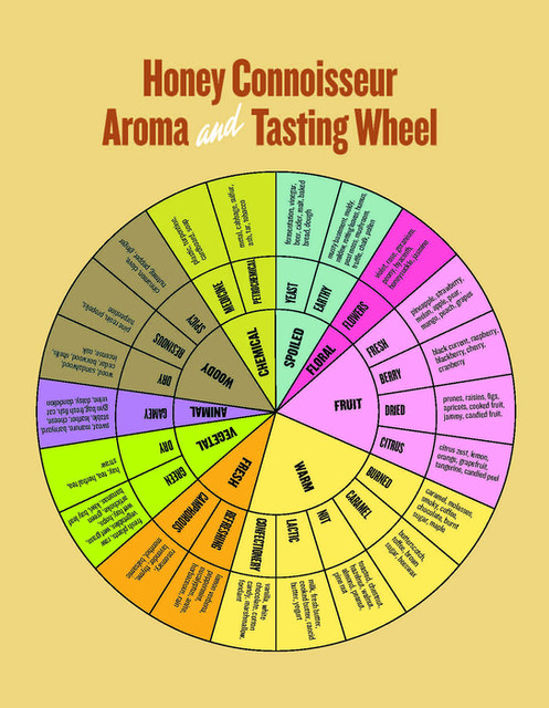 Honey Aroma and Flavor Wheel