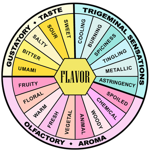 Organoleptic Flavor Wheel | AHTS