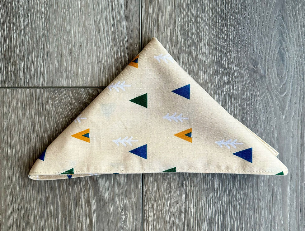 SHOP | WANDERLUST KITS