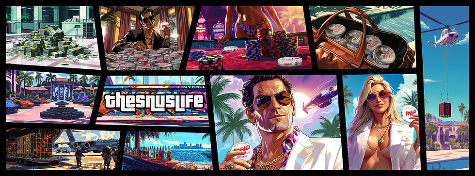 Home | THE SNUS LIFE