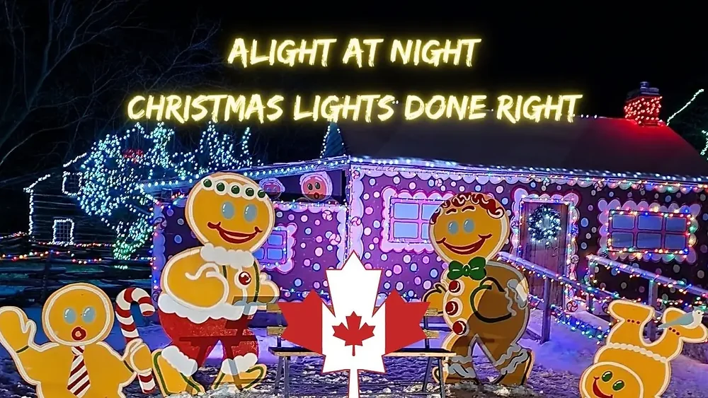 alight at night promo code