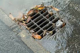 How to Keep Your Storm Drains Clean