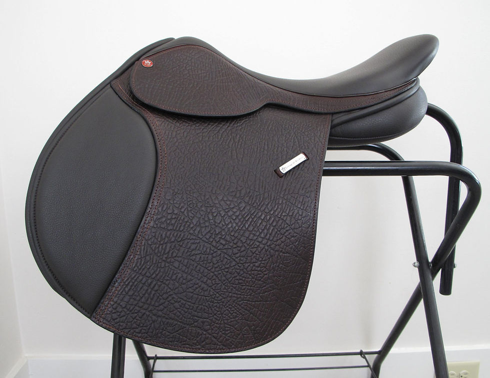 Hunter | showcase-tack