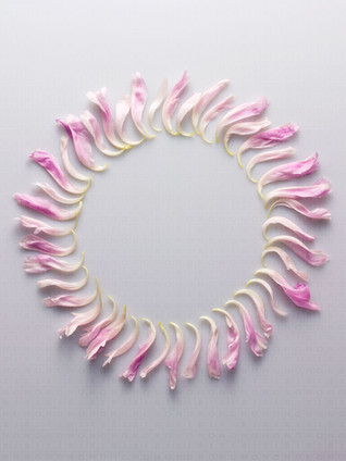 Portfolio for cosmetic work | Nori Inoguchi Studio