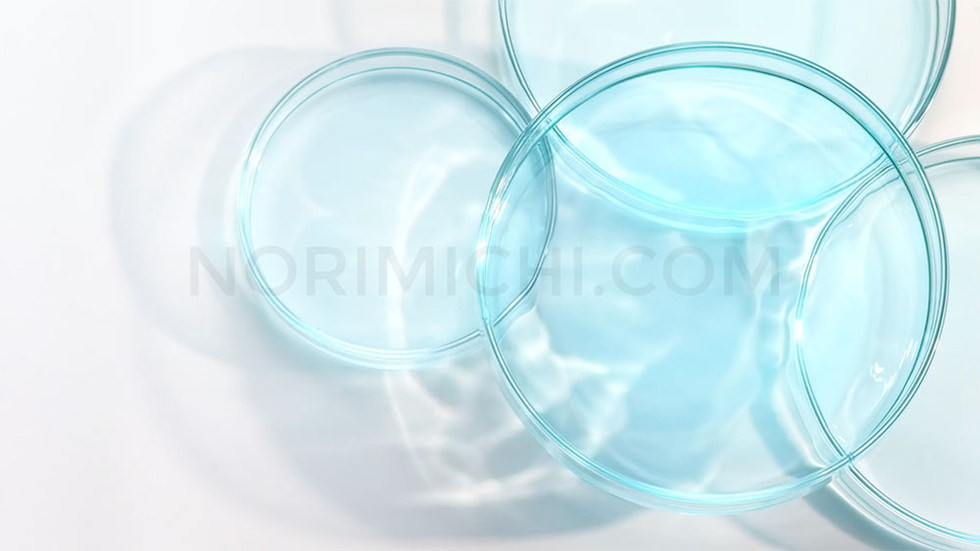 Still Life Photography and Videography | Nori Inoguchi Studio