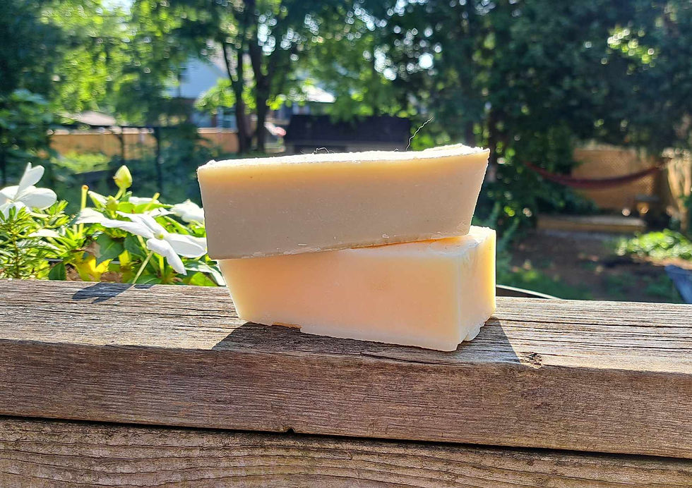 4 Lard/Tallow Bars | Nature IS Health