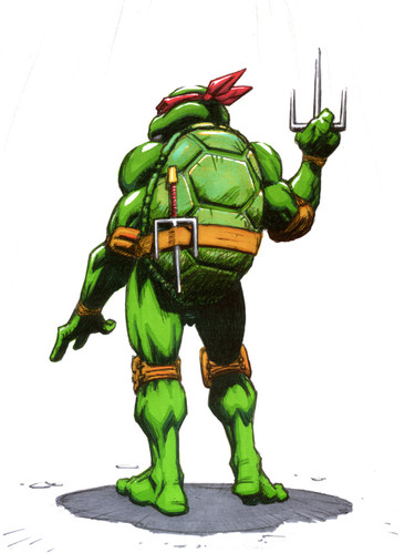 Raph Solo | Teenage Mutant Ninja Turtles | Artplate