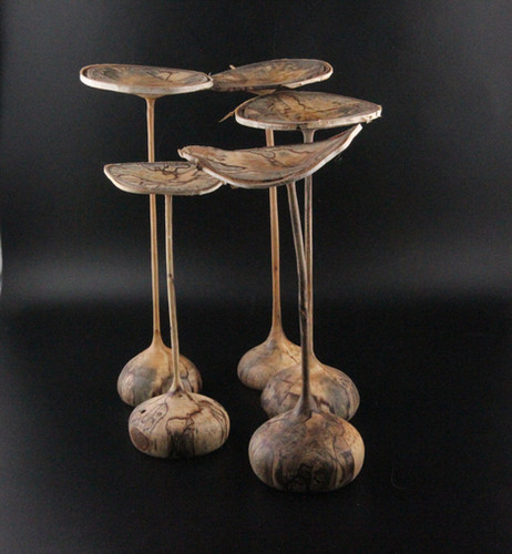 Birch Podlets | Art Kraft Wood Produ