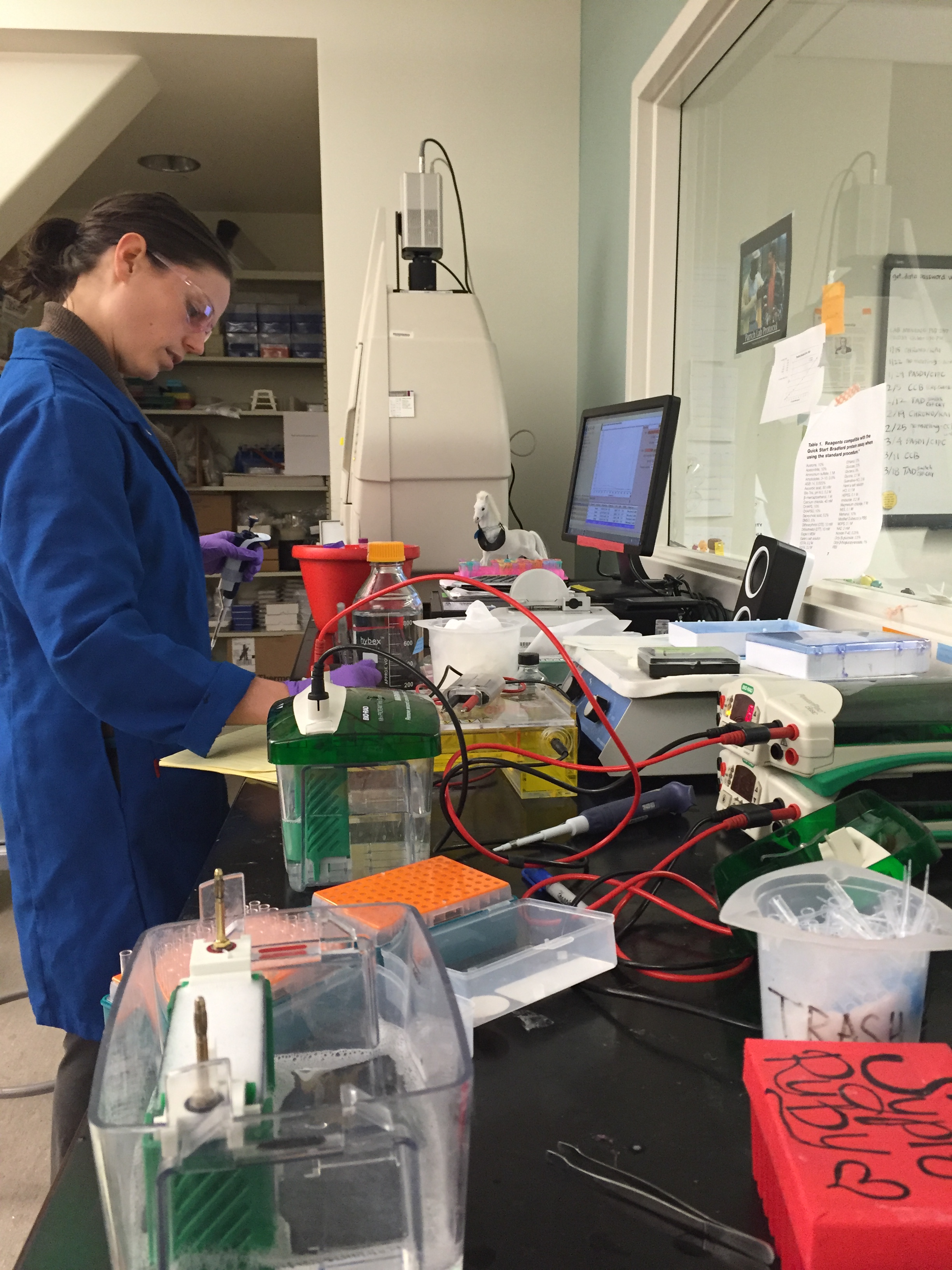 POSITIONS | partchlab