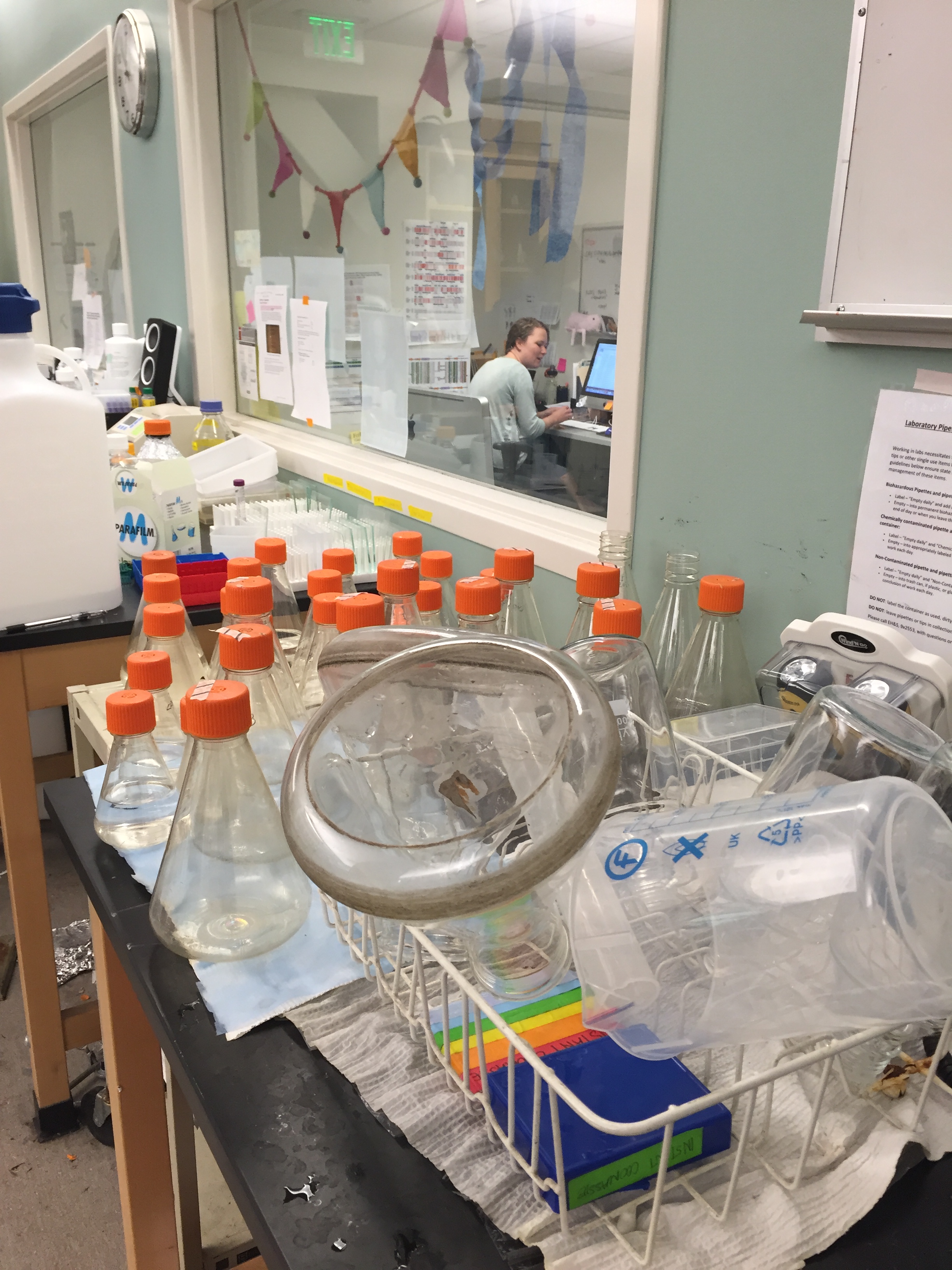 POSITIONS | partchlab