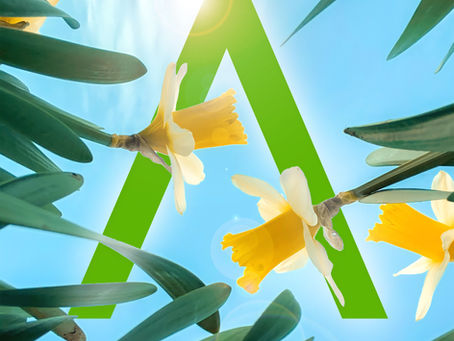 News & Events | Atova Regulatory Consulting | Barcelona