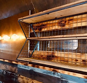 Rum | Wiltshire | Muck & Dunder Rum Bar