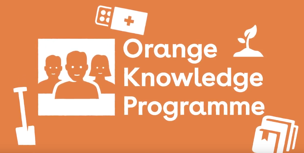 Apply for the Orange Knowledge Program in Netherland