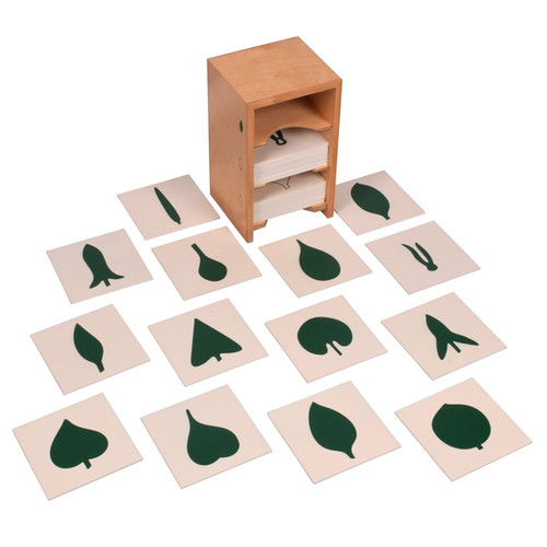 Botany Form Cards | Playtoddz Montessori