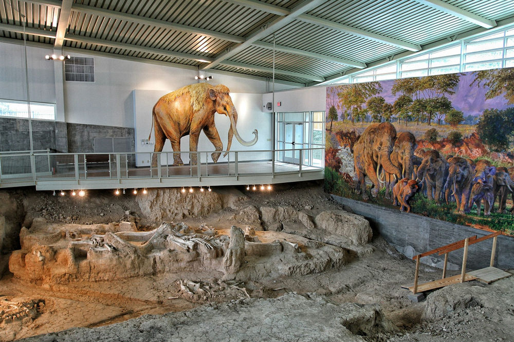 Waco Mammoth National Monument