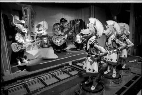 The Great Texas Longhorn Review at Astroworld