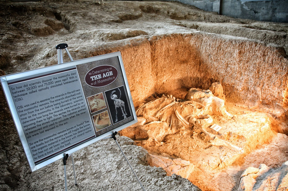 Waco Mammoth National Monument