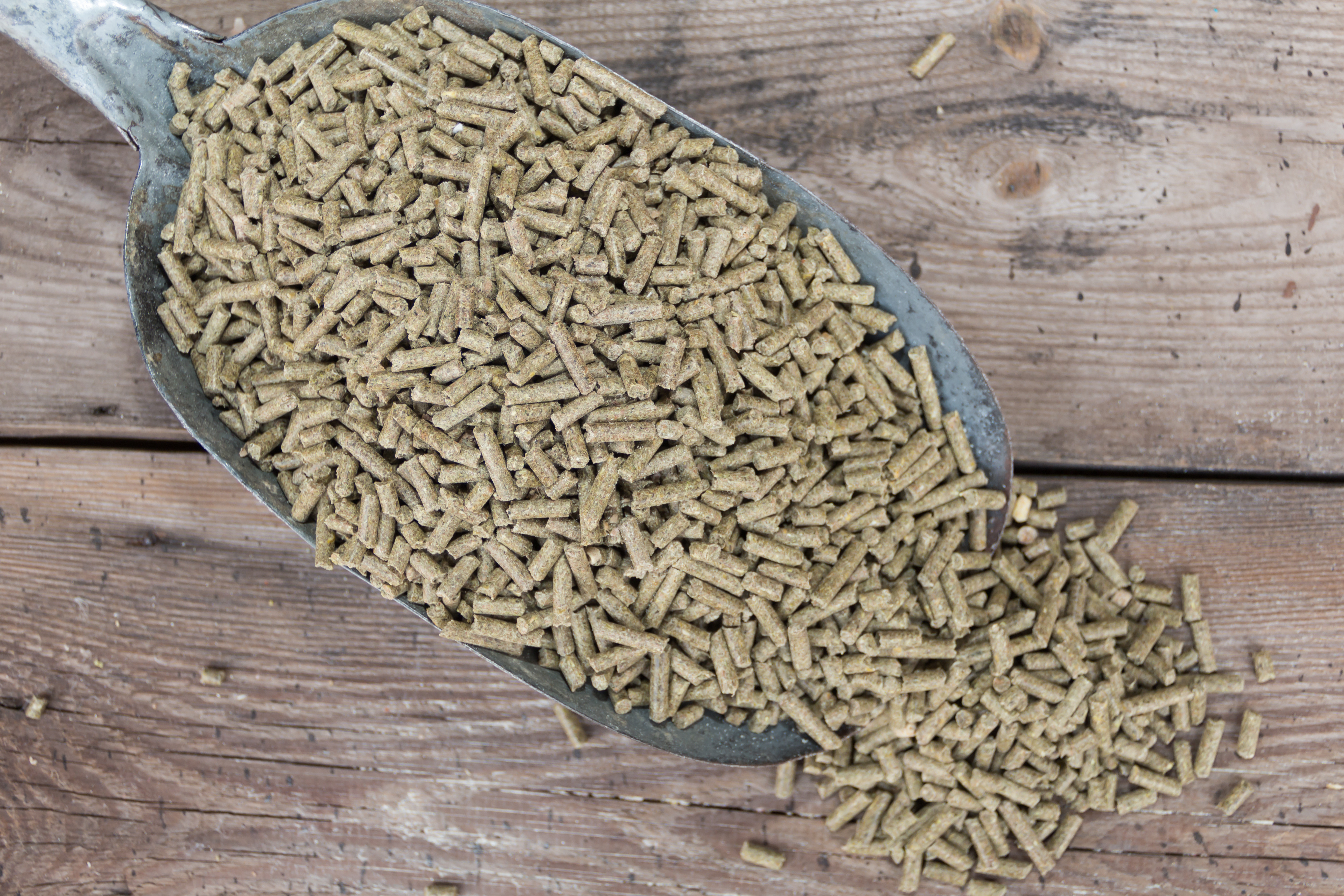 Horse Pellets | Willcox Country Bacon Feed & Supply