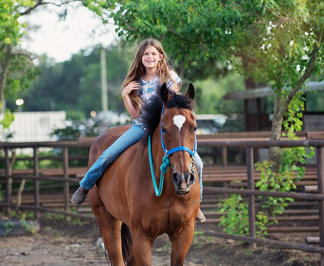 ABOUT WEST STABLES | West Stables