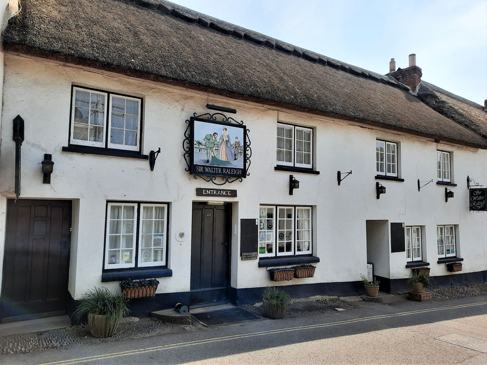 Walter Raleigh's Devon: East Budleigh - Shortwood Common (circular) 4 ...