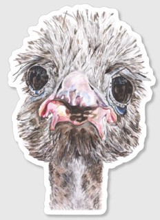 Mini Ostrich Sticker | my-birds-i-view