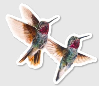 Hummingbirds Sticker | my-birds-i-view
