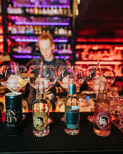 Gin Tasting After Work | Gin City