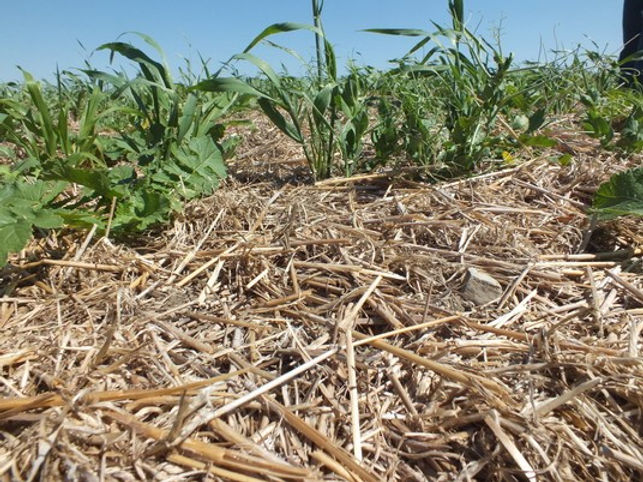 South Dakota NRCS Announces EQIP Program Sign-Up