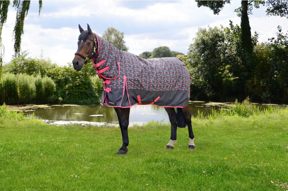 Horse Rugging Guide - Upton Equestrian