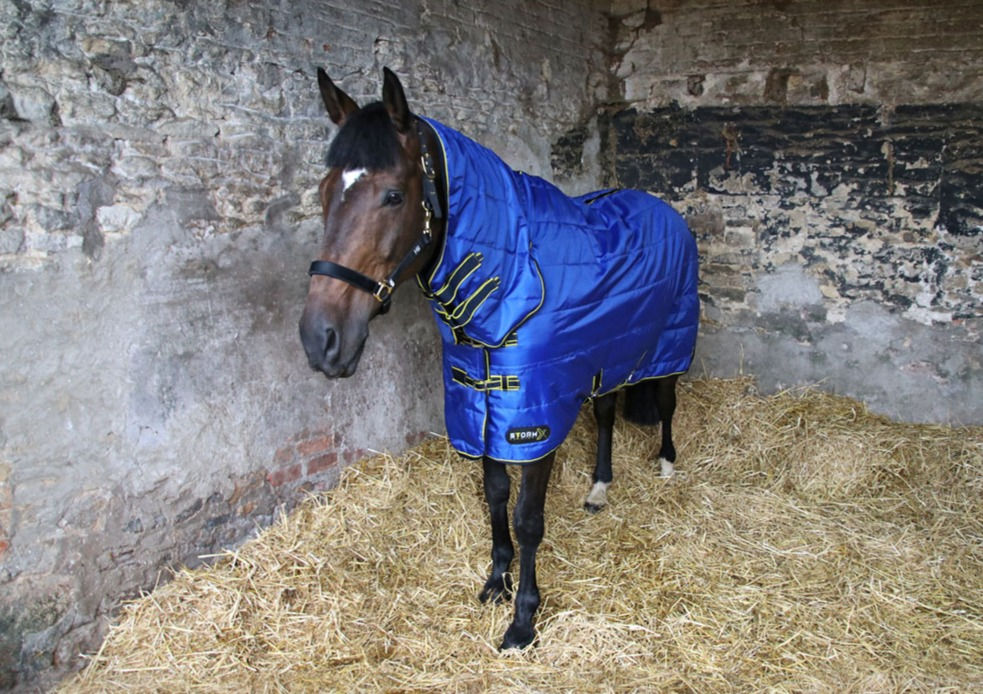 Horse Rugging Guide - Upton Equestrian