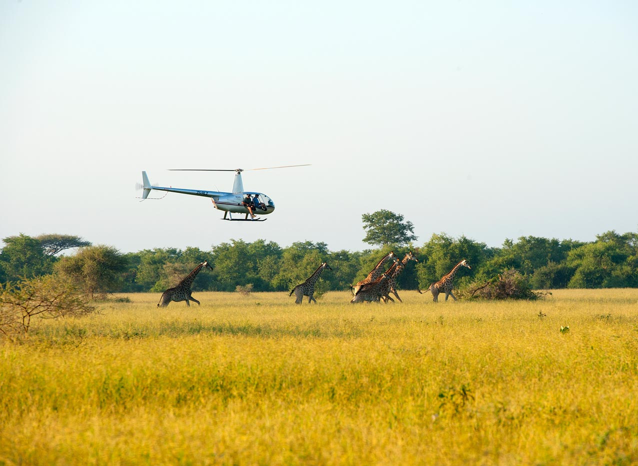 Register for this Years Course | Wildlife Capture School