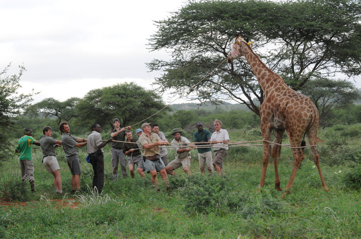 Course Content & Accreditation | Wildlife Capture School