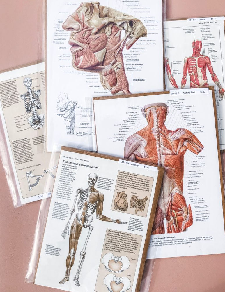 Massage: Effects on the Body and the Mind