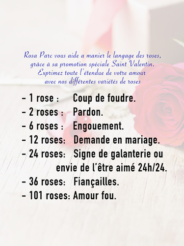 Signification des nombres de roses | Rosa Parc237
