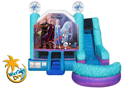 Frozen Themed Bounce House Rentals Columbus, Cincinnati, Dayton, Ohio ...