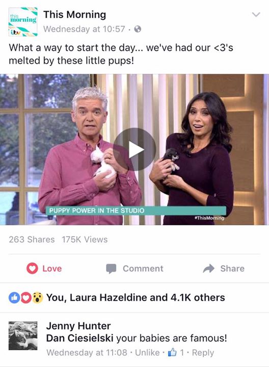 Puppy Secrets: The first 6 months!