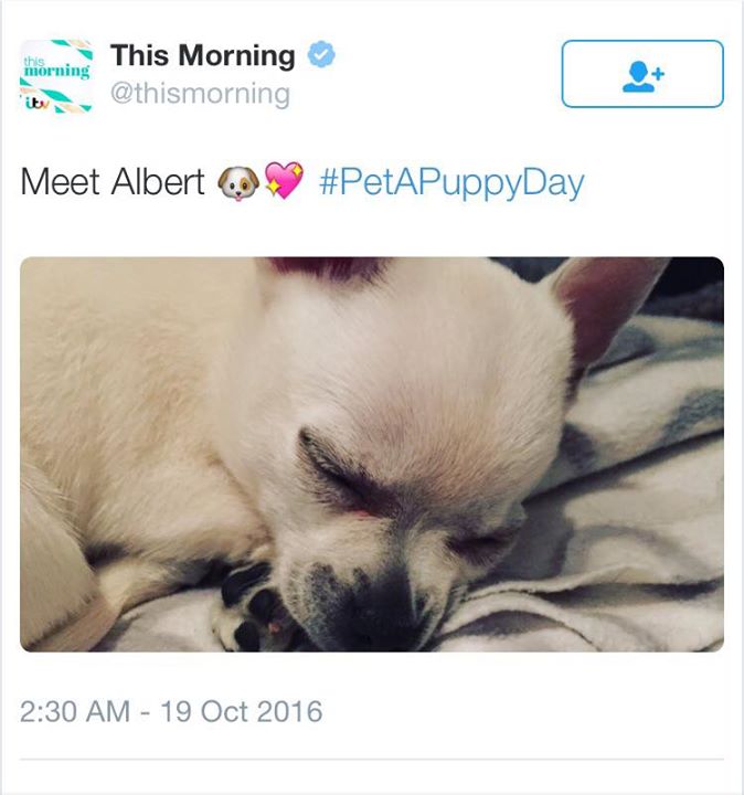 Puppy Secrets: The first 6 months!