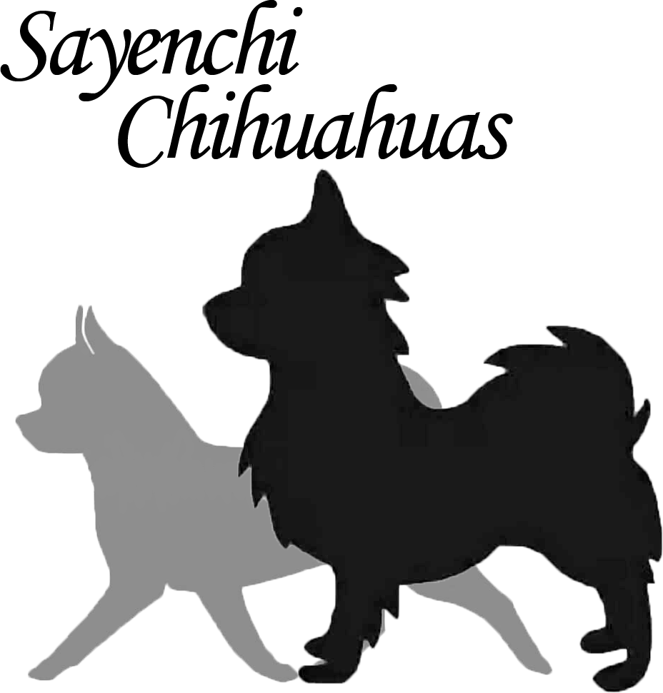 Puppy Secrets: The first 6 months!