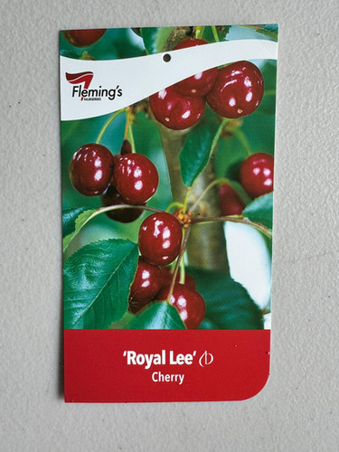 Royal Lee | St Clements Citrus